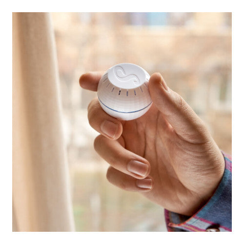 Shelly H&T Wi-Fi Humidity and Temperature Smart Sensor | Smart Home Gadgets